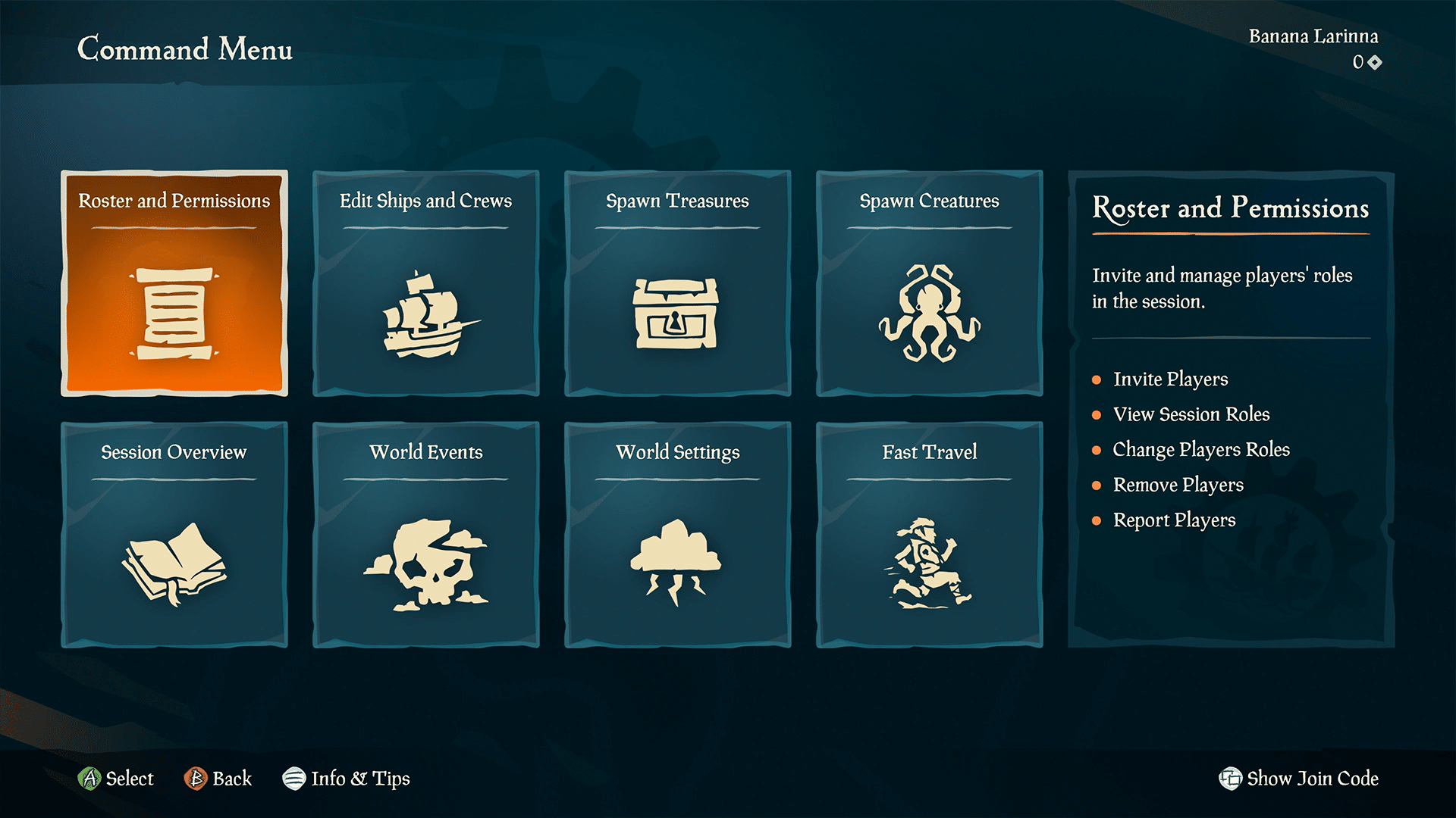 Sea of Thieves: Custom Seas - Rare Thief